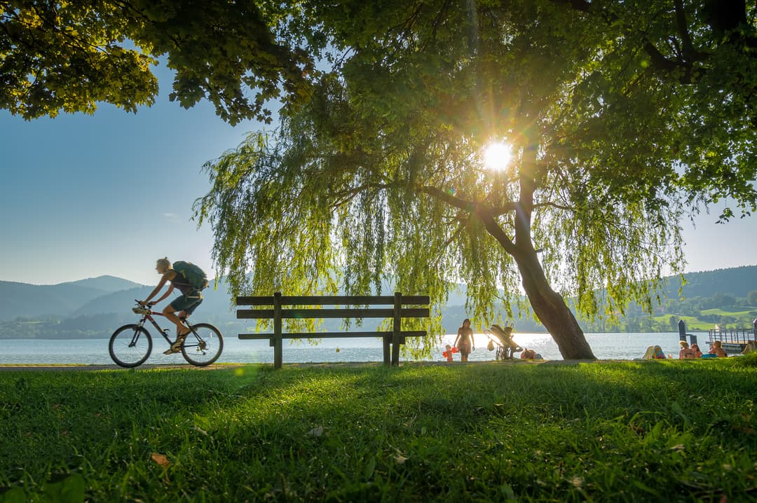 Tours - Bike Tours Germany